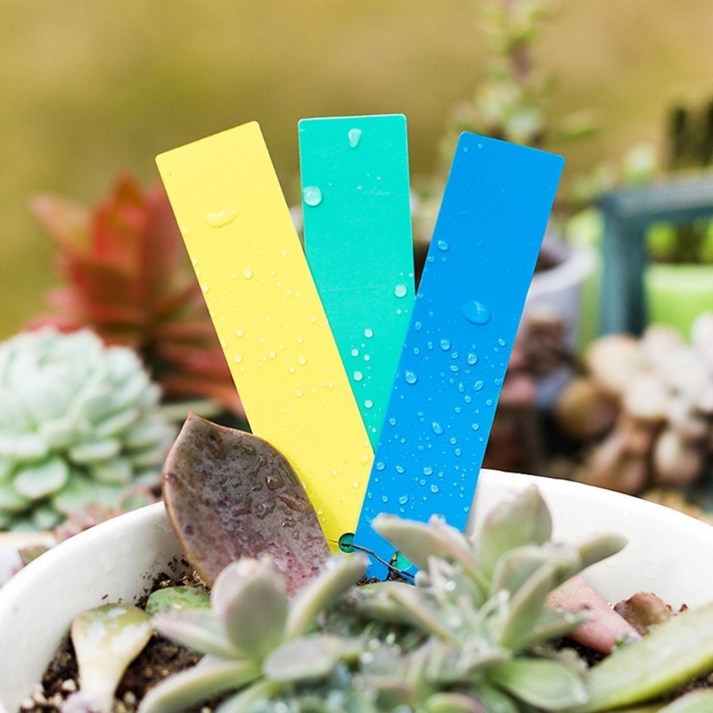 Top 100Pcs Plant Labels for Outdoor Plant Plastic Plant Labels Markers ...