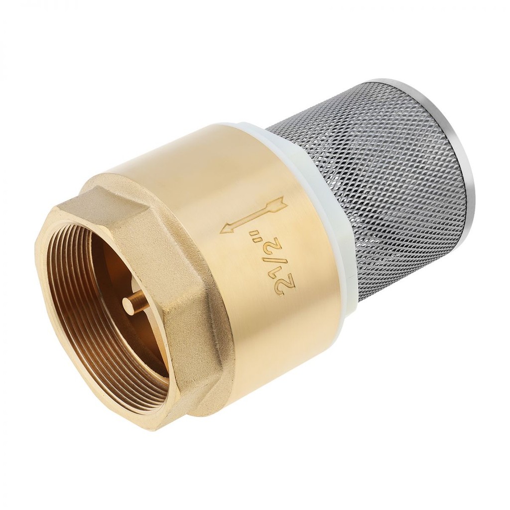 2-1/2 inch DN65 Foot Valve Brass Check Valve for Agricultural ...