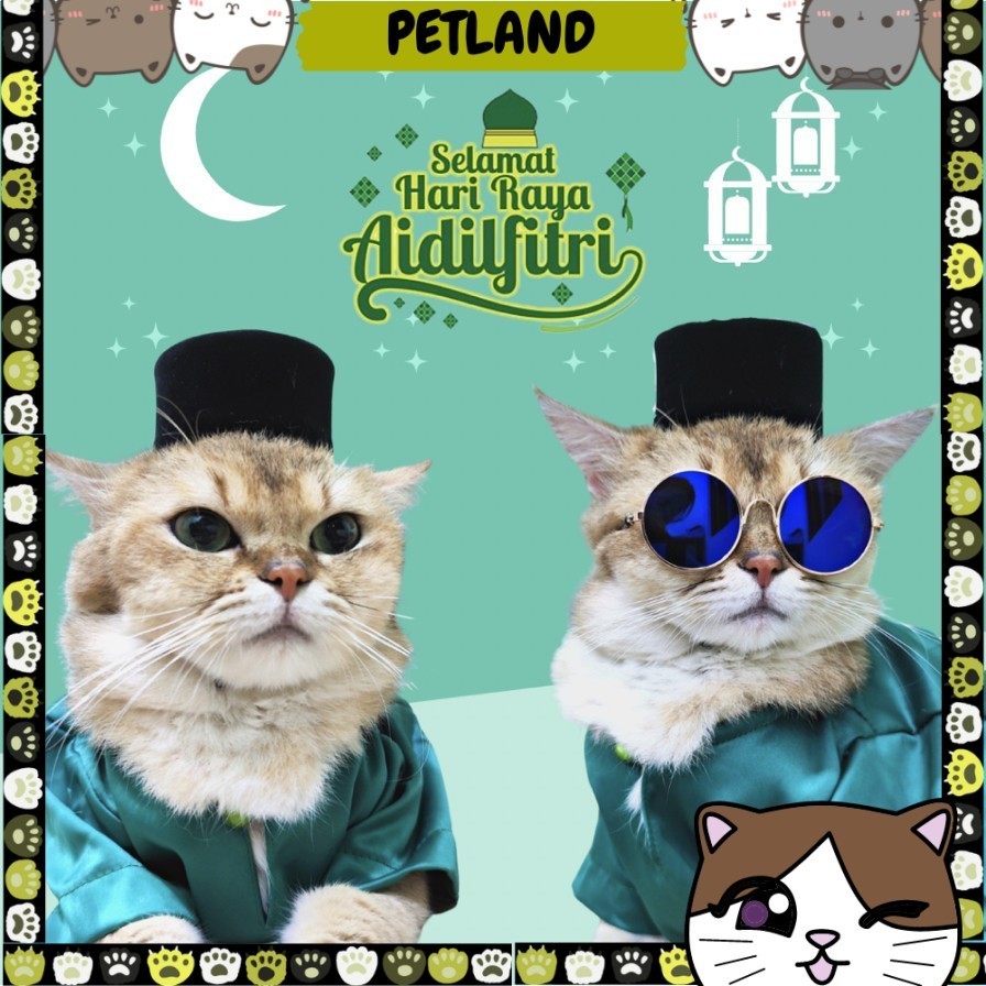 Baju Raya Melayu Kucing Songkok Baju Kurung Baju Melayu Cloth Cat ...