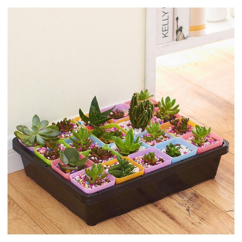 G1028 育苗盆 Plastic Plant Seedling Starting Tray Nursery Pot Seeding Box ...