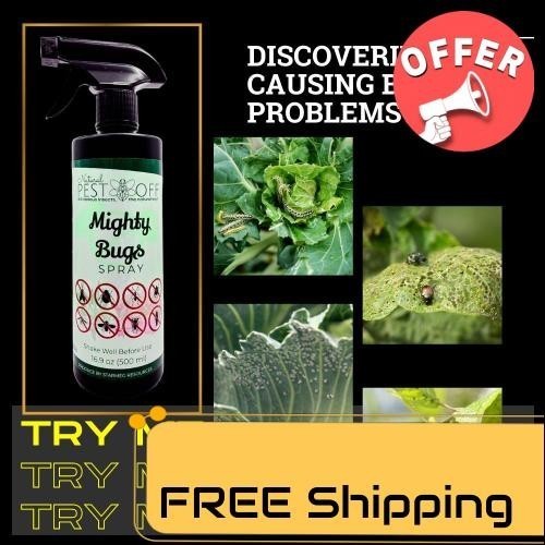 [Local Seller] PestOff Mighty Bugs Spray - Racun Serangga Tanaman Racun ...