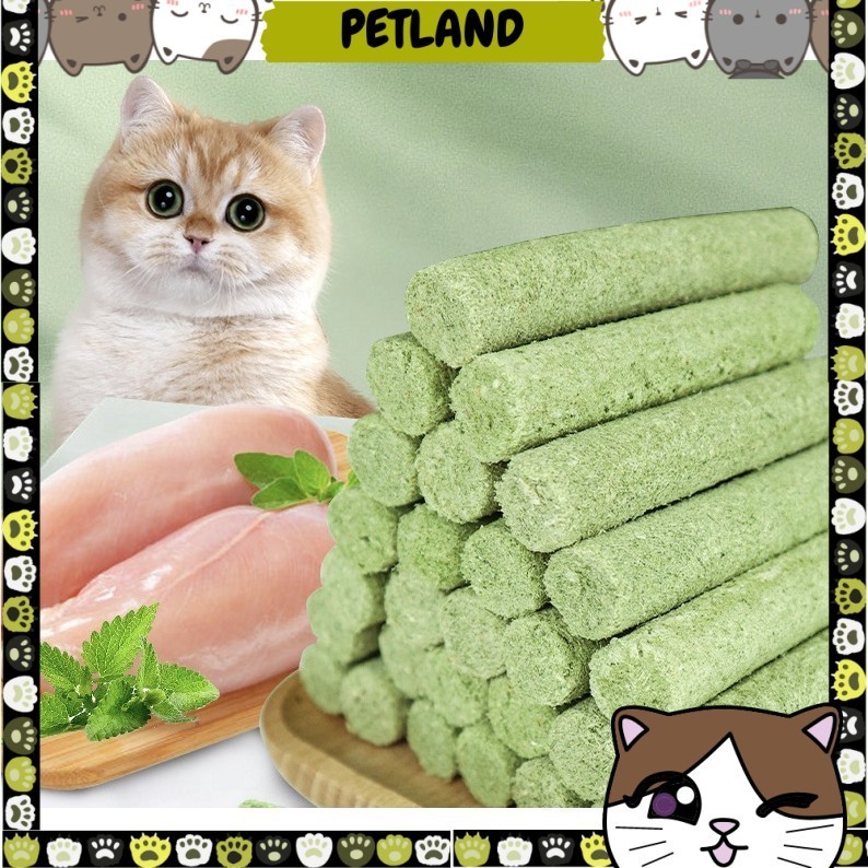 Catnip Stick Chicken Stick CAtnip Chicken Freeze Dried Booster CAt ...