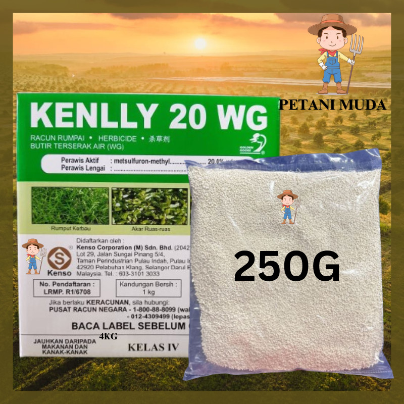 250g /1KG KENLLY 20WG (Sama Dengan Ally) Racun Anak Kayu/Anak Pokok ...