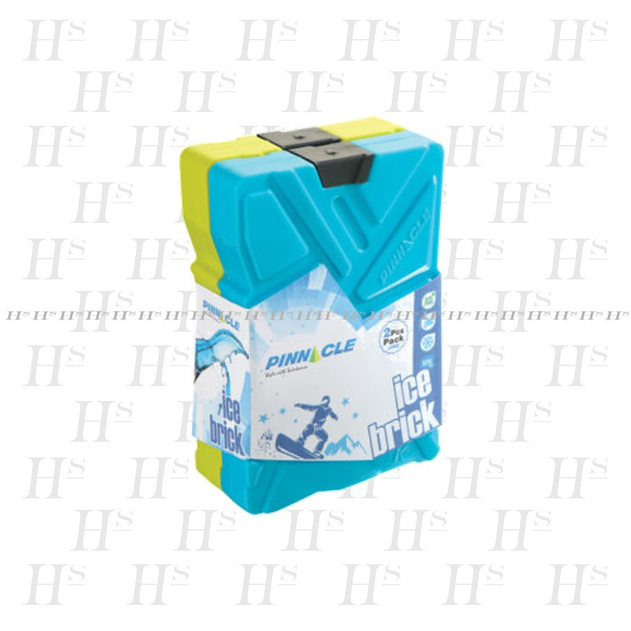 PINNACLE ICE BRICKS 600ML TWIN PACK Reusable Ice Brick Ice Block Ice ...