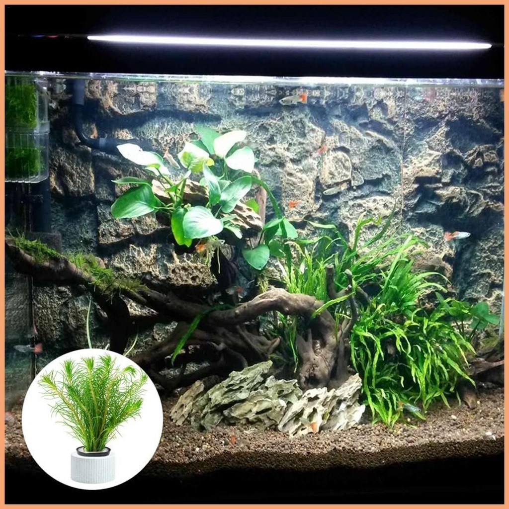 Aquatic Plants Fixed Ring Set Aquatic Plant Anti-Floating Pot Fixing ...