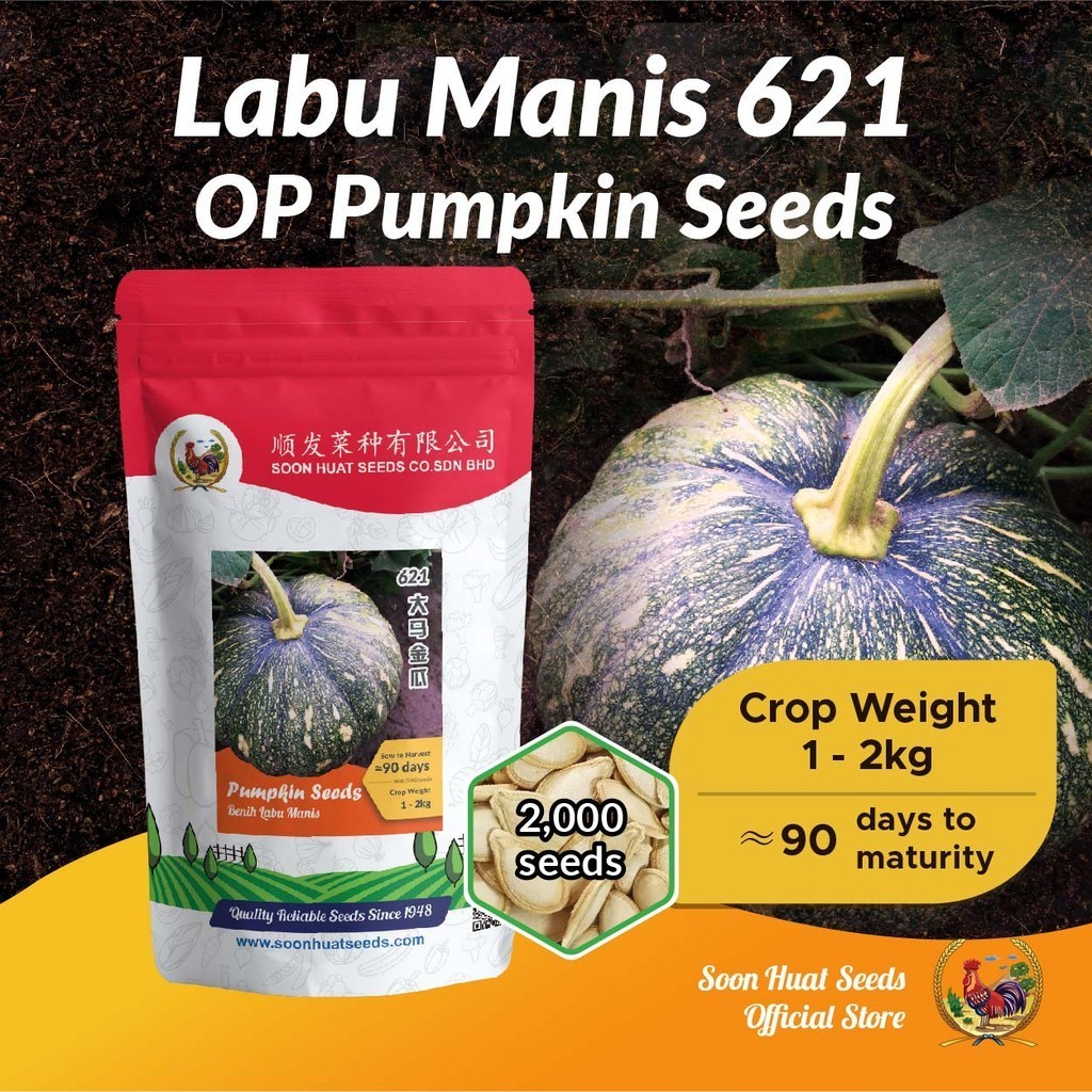[250g] 621 Benih Labu Manis Pumpkin OP Soon Huat Seeds | Shopee Malaysia