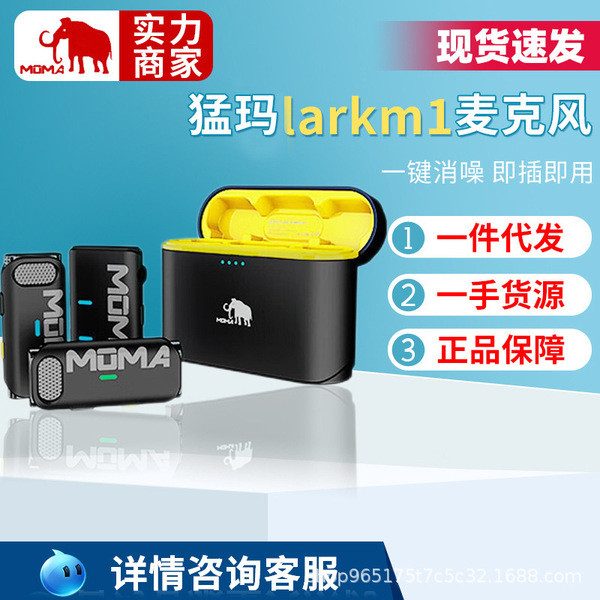 microphone wireless mic amgrass wireless microphone Mamma Microphone ...