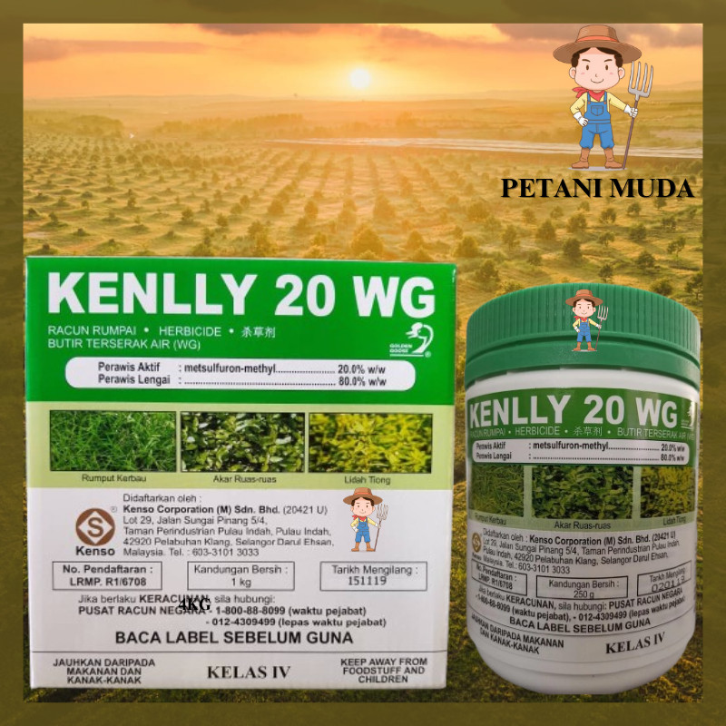250G /1KG KENLLY 20WG (Sama Ally) Racun Alai Anak Kayu/Anak Pokok ...