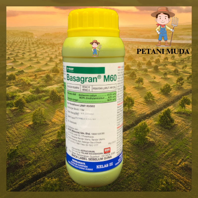 [ORIGINAL] 1L BASAGRAN M60 BASF HERBICIDE 37.0 + 6.2% RACUN RUMPAI ...