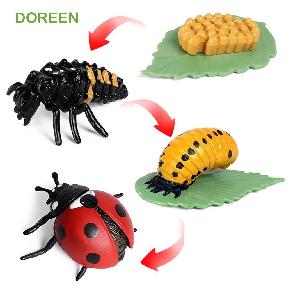 DOREEN Simulation Animals Kids Toy Educational Butterfly Growth Cycle ...