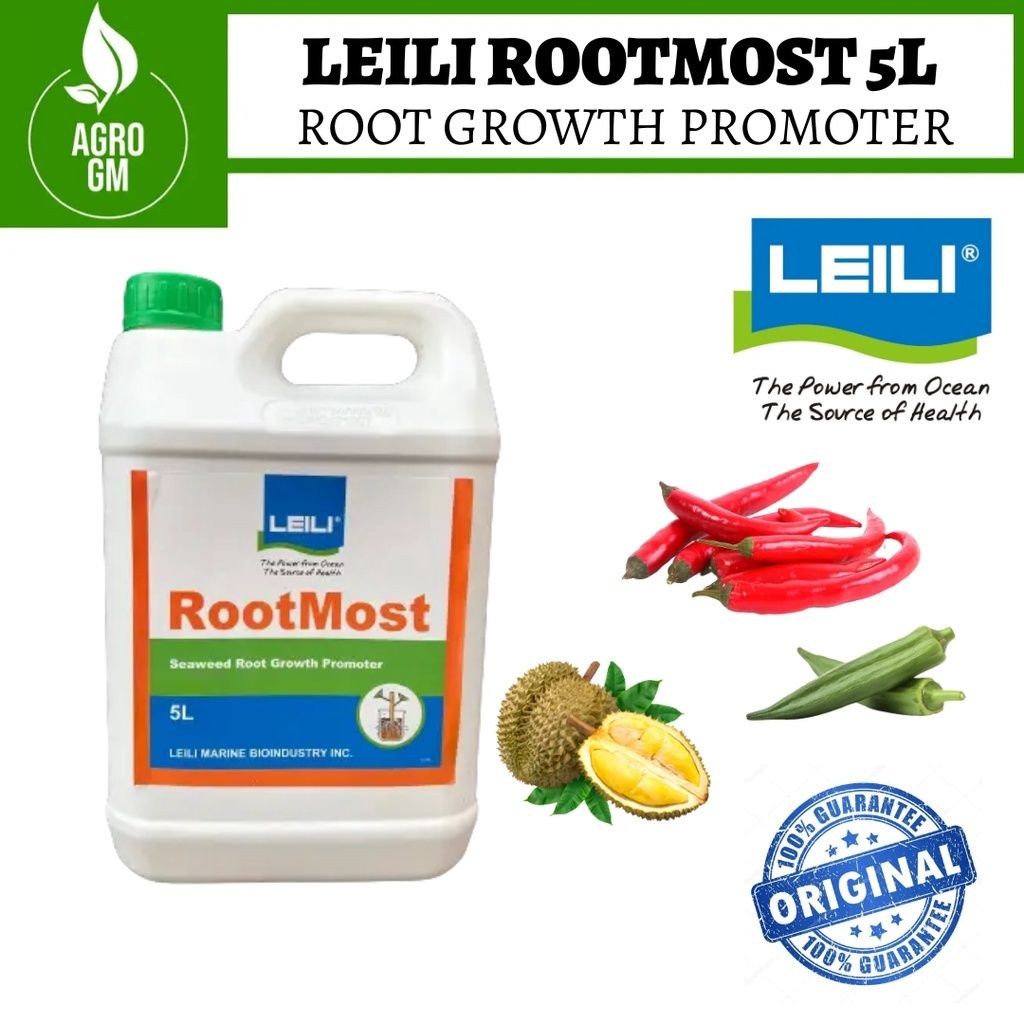 LEILI 5L RootMost Seaweed Fertilizer Root Growth Promoter Stronger ...
