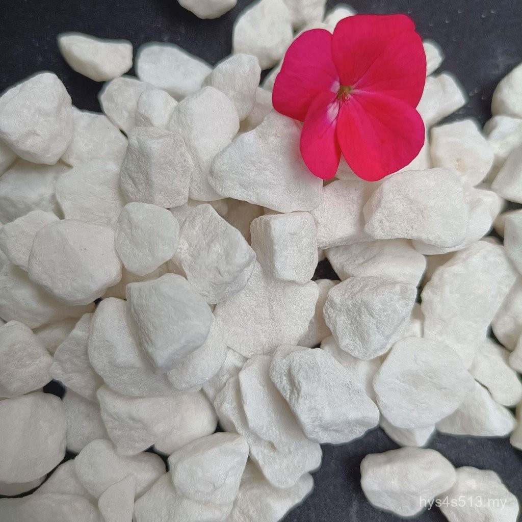 Supply Pure White Landscaping Terrazzo Stone Micro Landscape White ...