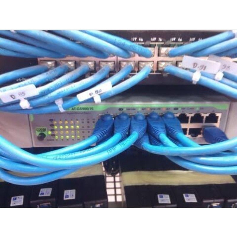 Belden Blue CAT 6 GIGABYTE SERVER LAN Cable FULL PLUGBOT HANDMADE RAV ...