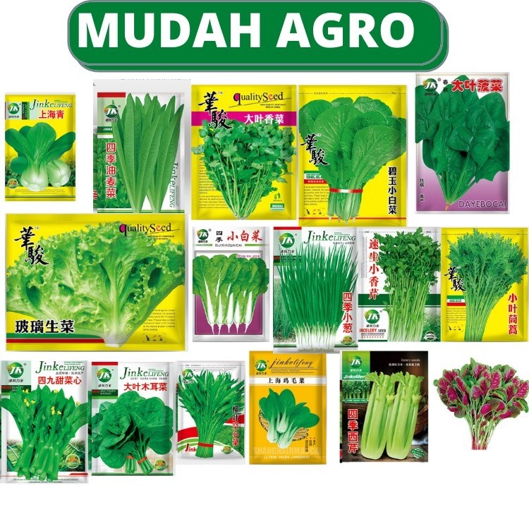 1pack Biji Benih / Vegetable Seed /FLOWER SEEDS /SAYUR/BUNGA/BUAH BENDI ...