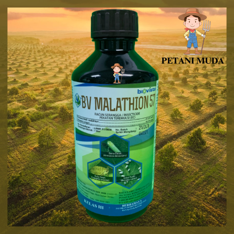 [ORIGINAL] 1L BV MALATHION 57 BIOVISTA /Racun Ulat/Insecticide/KutuTrip ...