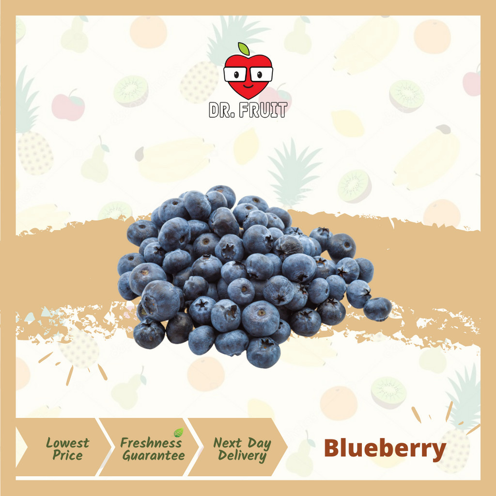 Blueberry (125g/box) 蓝莓 | Dr.fruit | Shopee Malaysia