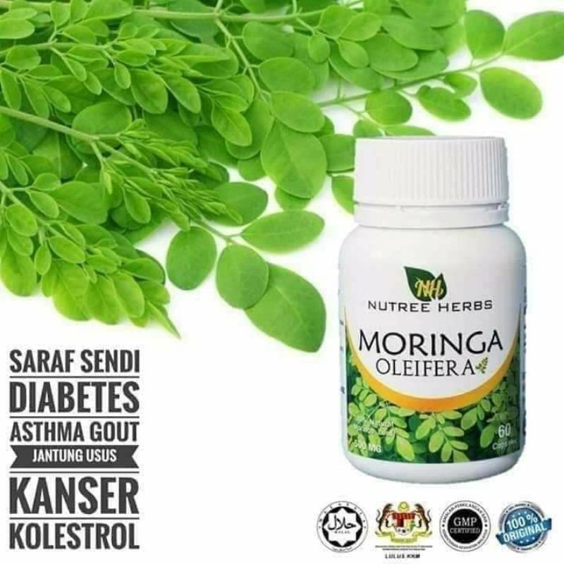 Moringa Oleifera Nutree Herbs (60 capsules) | Shopee Malaysia