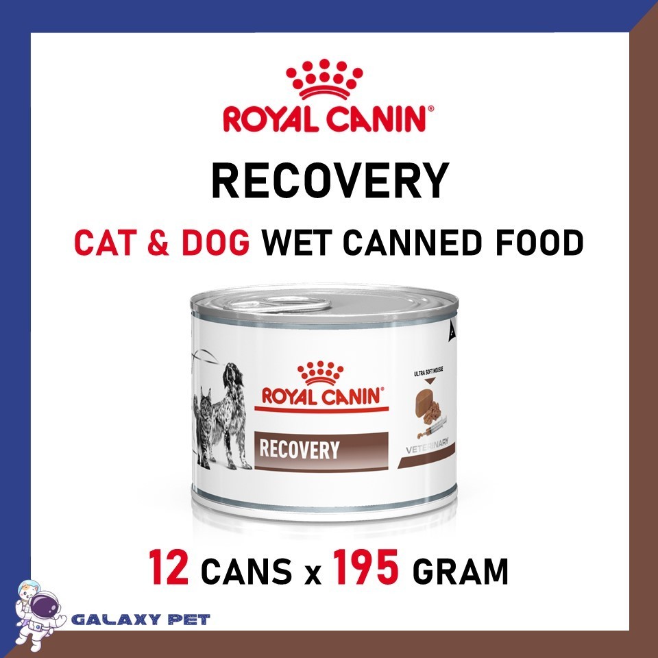 Royal Canin Recovery Wet Canned Food for cat & dog 195 G x 12 Cans (EXP ...