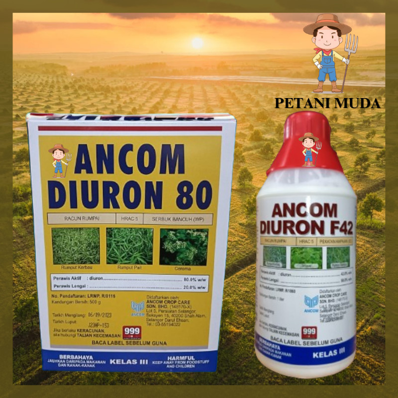 [ORIGINAL] 1L ANCOM DIURON F42 500G ANCOM DIURON 80 Racun Rumput Sambau ...