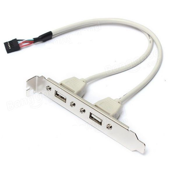 Backpanel splits into 2 usb ports from usb mainboard to disassemble ...