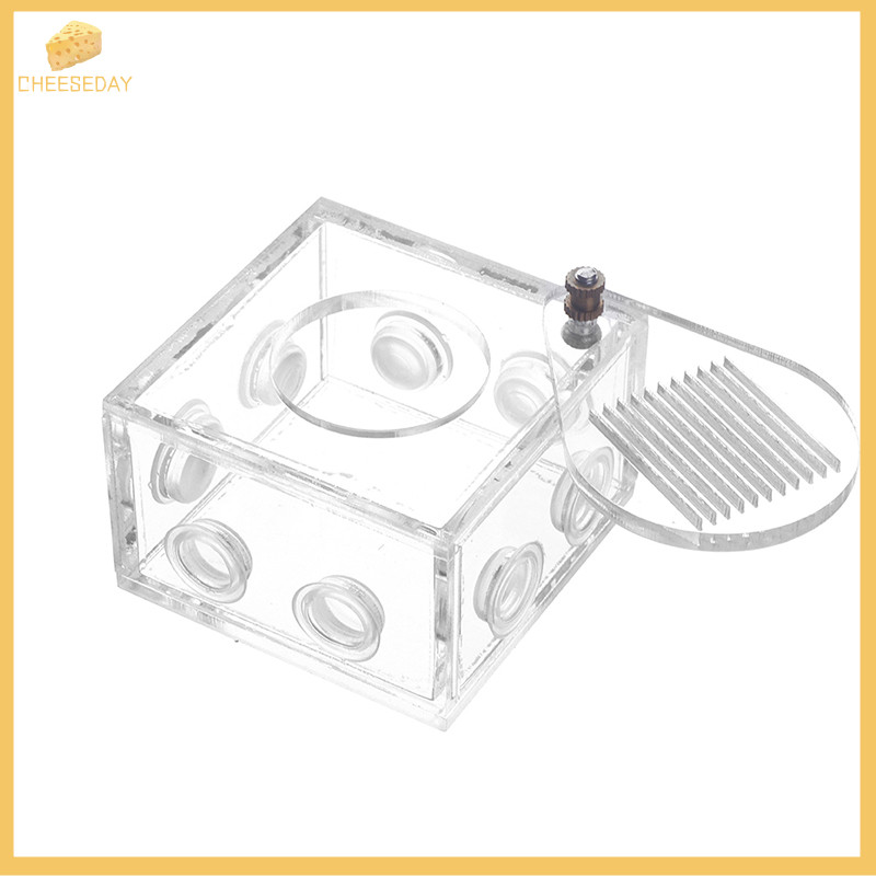 Cheseday Acrylic High Transparent Ant Activity Area Test Tube ...