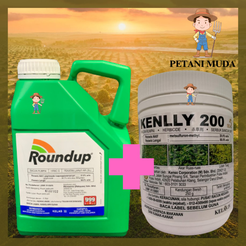 4L Roundup+ 250G KENLLY 200 (1 SET PACKAGE) RACUN RUMPUT KEMATIAN ...