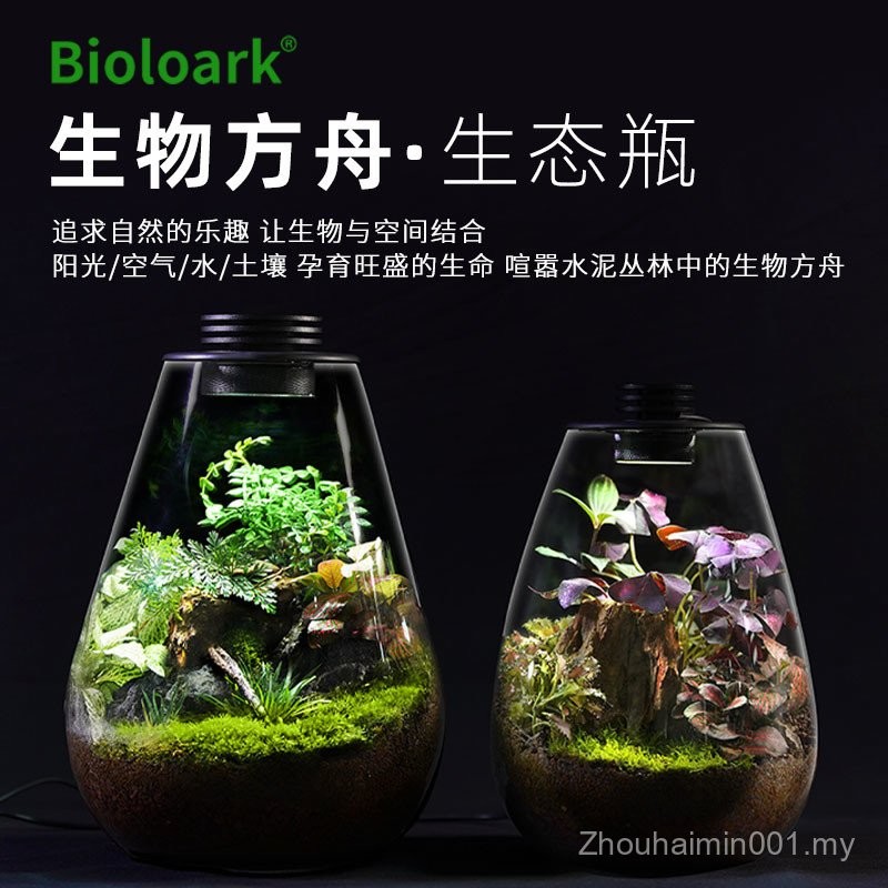 Bioloark Bioloark Ecological Bottle Ultra White Tank Glass Bottle Moss ...