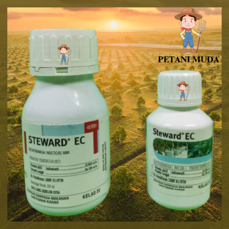 [ORIGINAL] 100ML 250ML STEWARD EC FMC RACUN SERANGGA / RACUN ULAT ...