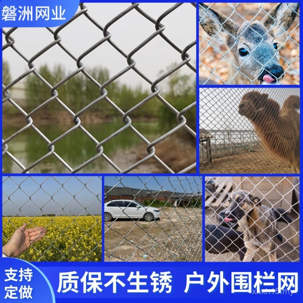 Breeding Chain Link Steel Wire Mesh Galvanized Iron Wire Mesh Fence ...