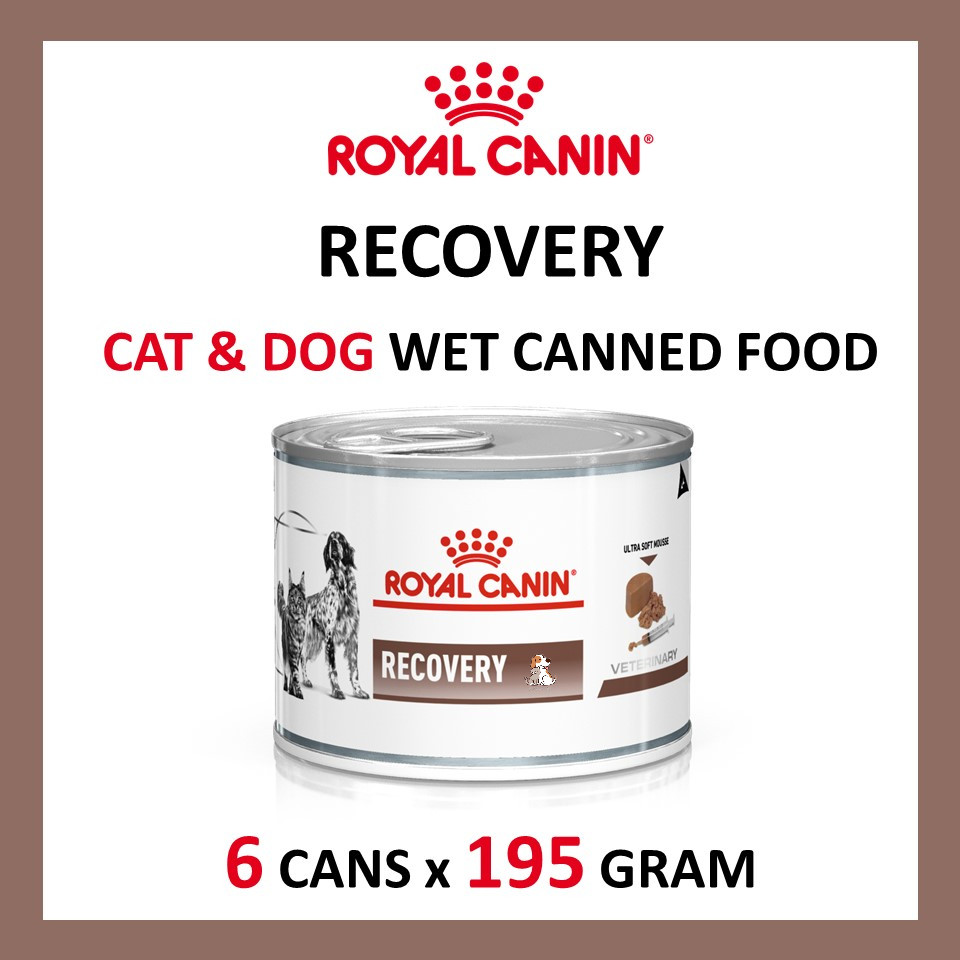 (EXP: 04/2026) Royal Canin Recovery Wet Canned Food for Cats & Dogs 195 ...