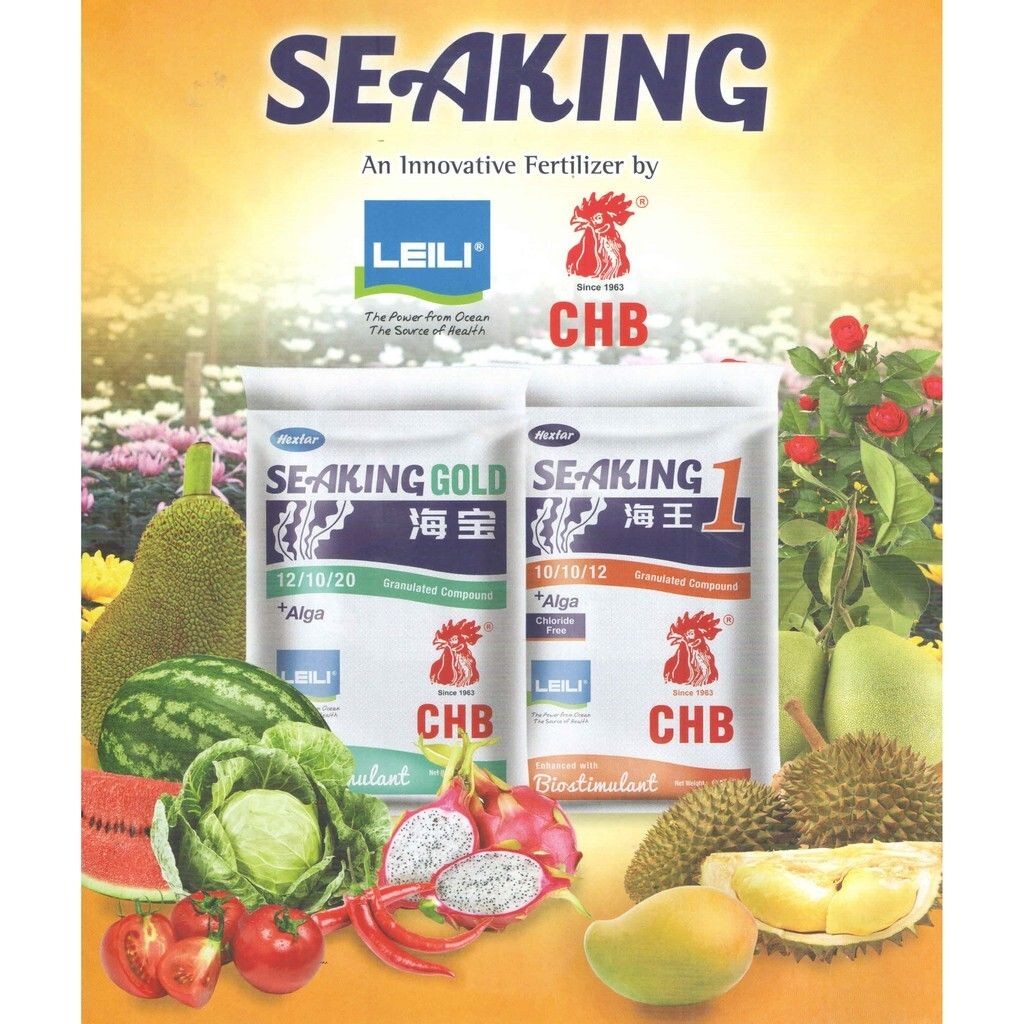 [Baja SOP Durian,Sayur,Bunga] Baja Alga Hextar Leili SeaKing 1 Seaking ...