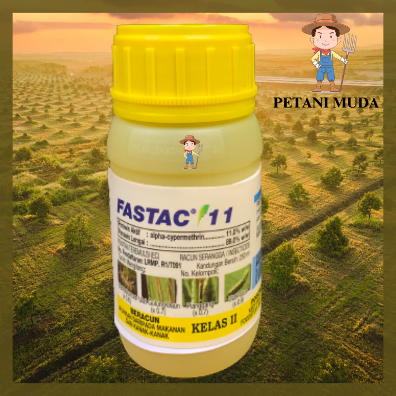 [ORIGINAL] 250ML FASTAC 11 BASF RACUN SERANGGA /Pestac/Pianggang ...