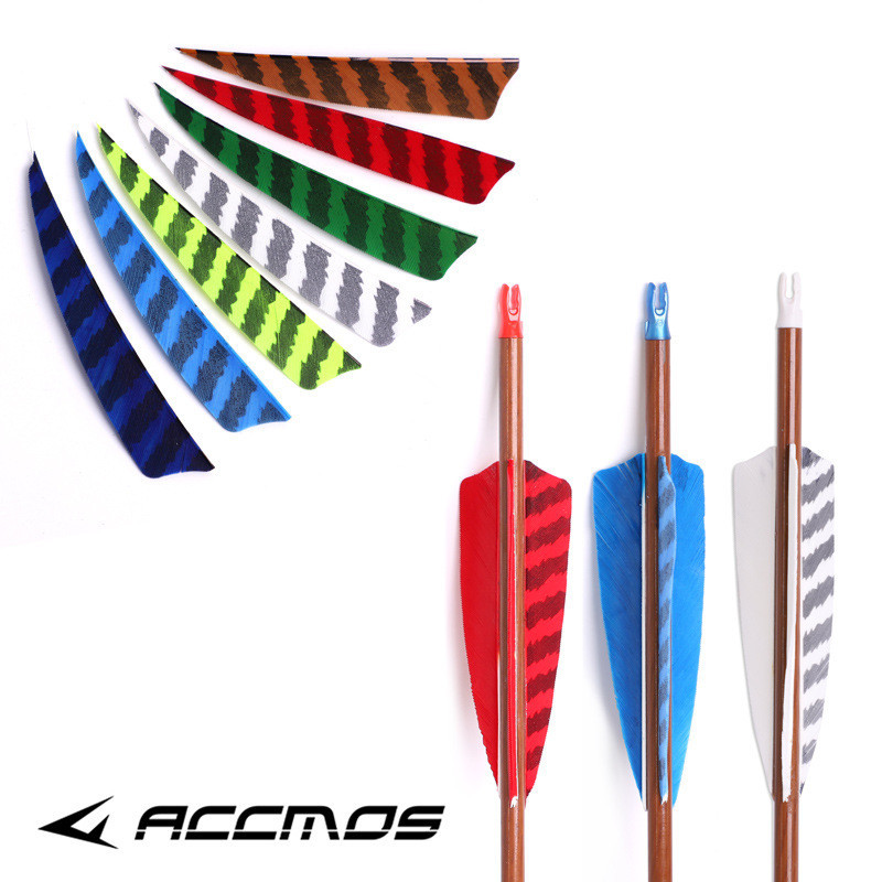 Striped 4 Inch Shield Shape/Water Drop Real Feather Bow Arrow Feather ...