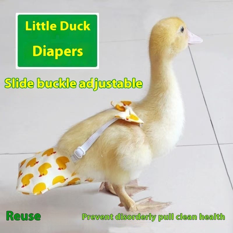 Cole Duck Cole Duck Diaper Pet Goose Clothes Shit Pocket Diaper Diaper ...