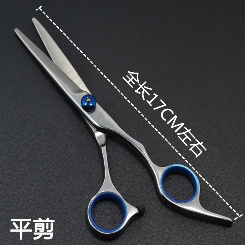 Professional Hairdressing Scissors Haircut Scissors Flat Cut Teeth Cut ...