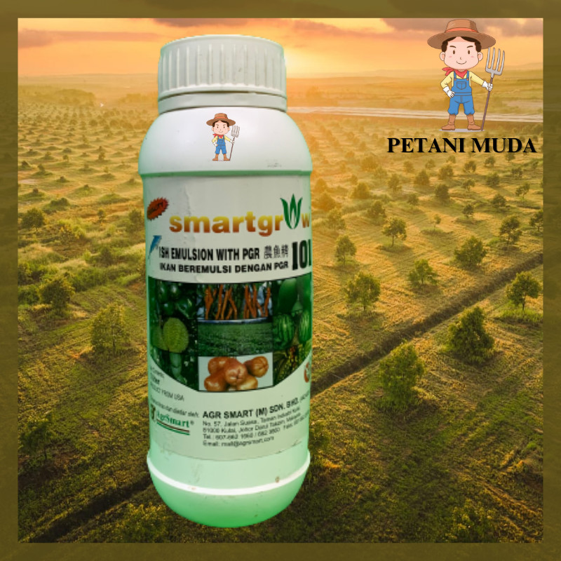 [ORIGINAL] 1L SmartGrow 101 AGR SMART Baja Ikan Foliar-Siraman ORGANIK Fertilizer HUMICACID ...