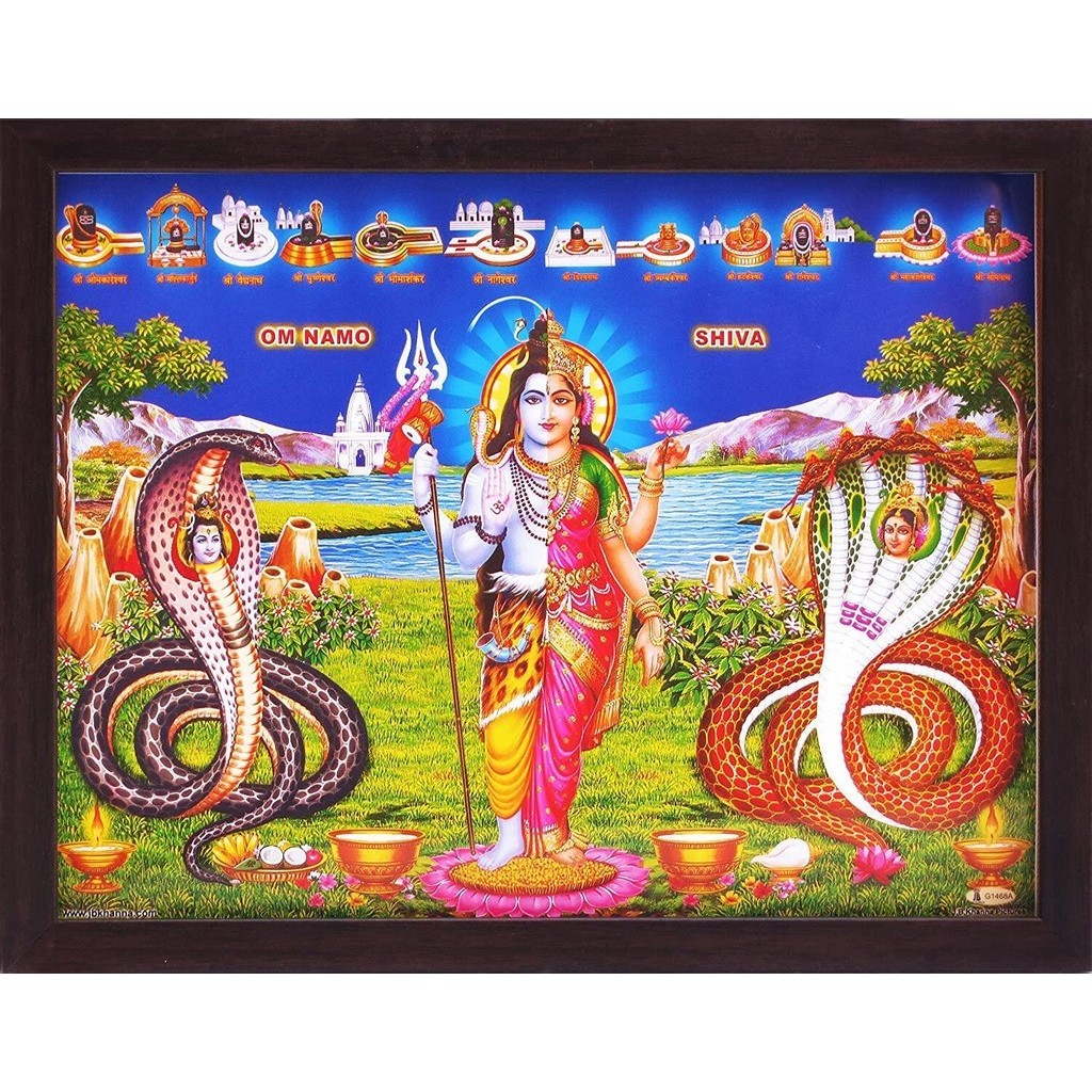 Shiva with Snakes Ardth Nari Ishwar Posterin The Roopa a Hindu ...