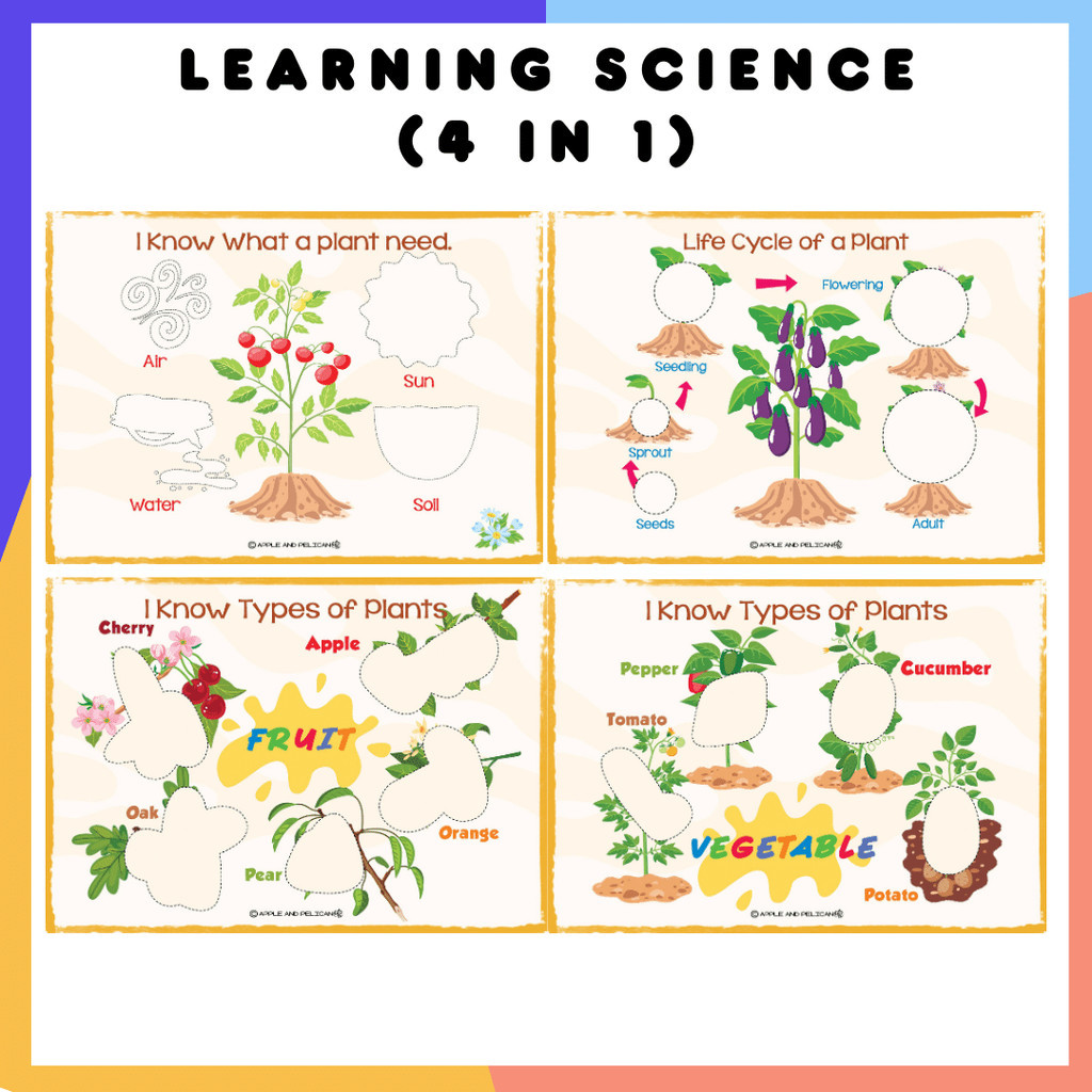 Little Cuttie Science Busy Book Kid Early Learning Book Kids Montessori ...