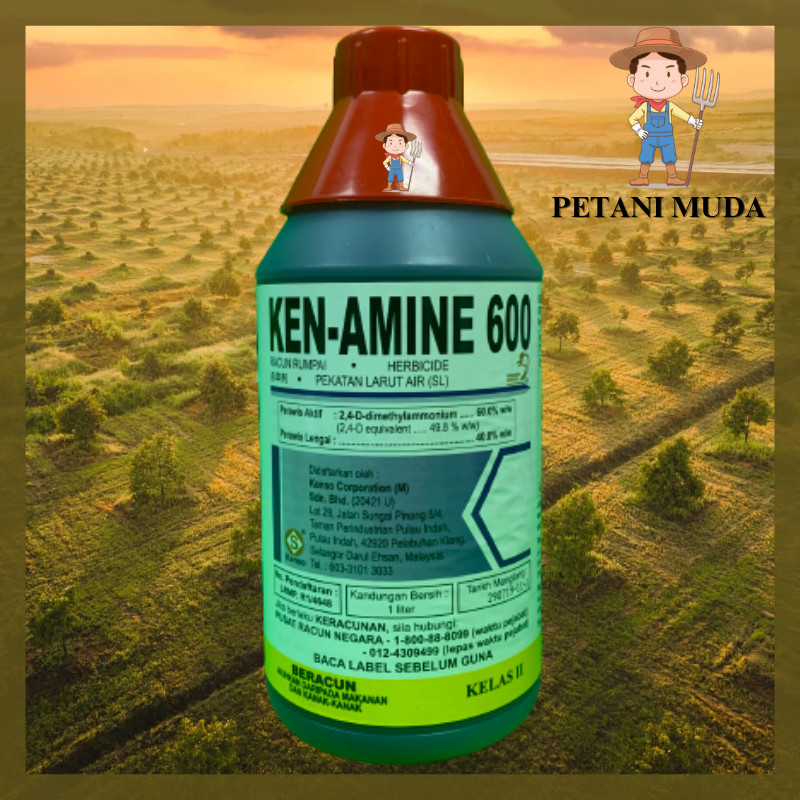 [ORIGINAL] 1L KEN-AMINE 600 Racun Rumput/RACUN RUMPAI/Racun Serap ...