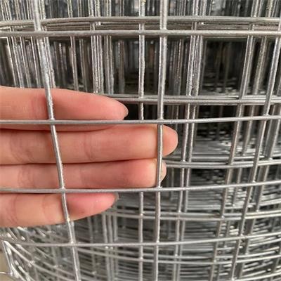Pagar Wire Mesh Tergalvani Panas Tebal Baru Wire Mesh Keluli Rumah G ...