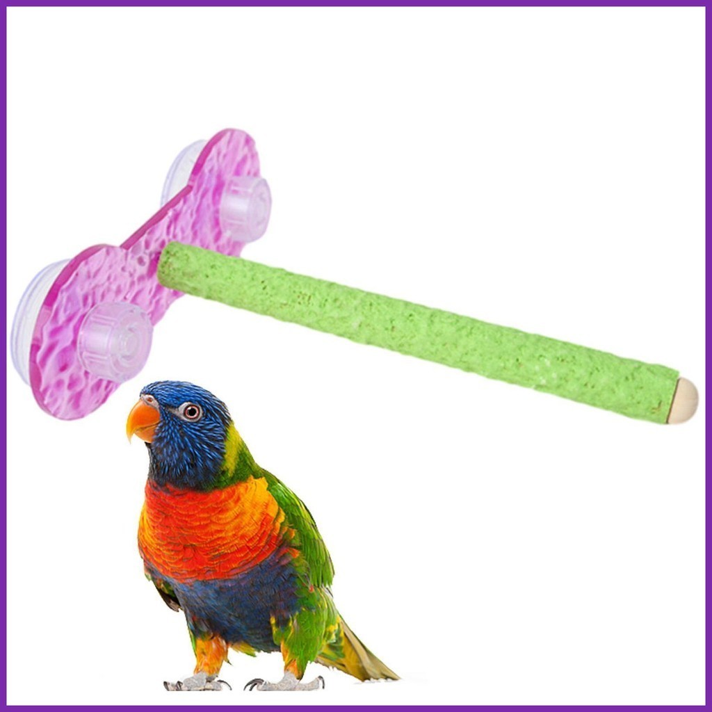 Bird Cage Stand Parrot Cage Training Perches Portable Reusable Wood