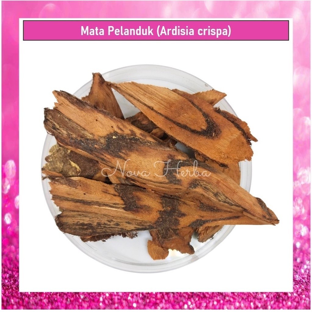 Herba Kayu Mata Pelanduk (50g) Ardisia crispa / Mata Ayam/ Pokok Akar ...