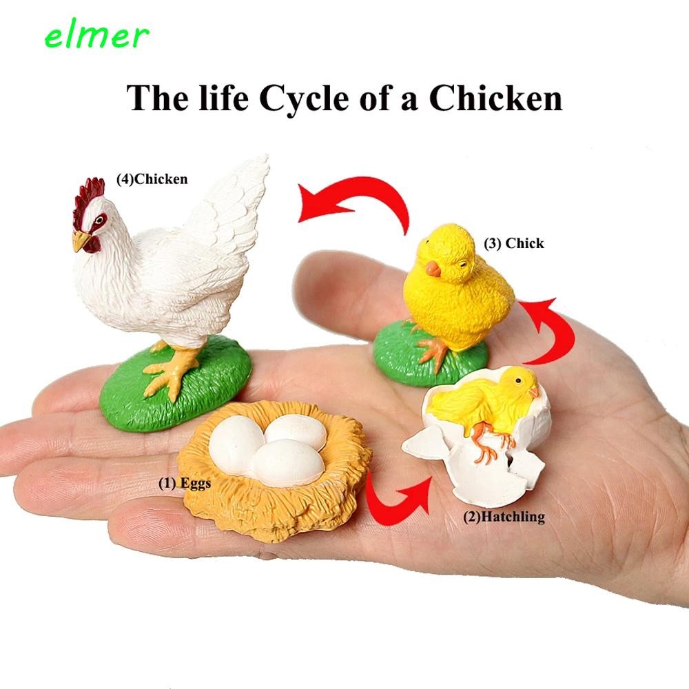 ELMER Simulation Animals Biology Science Toy Butterfly Growth Cycle ...