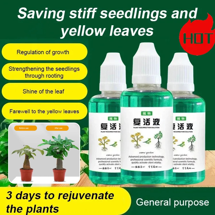 🌹HOT🌹[Quick Resurrection Plants]Universal Plant and Flower Rejuvenation ...
