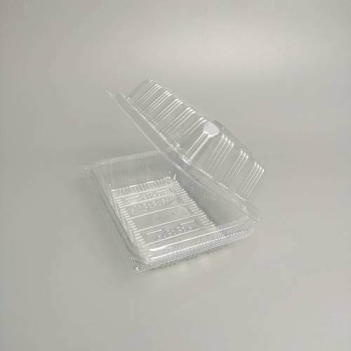 TP-62L Toli Clamshell Square Box - PACK50 | Shopee Malaysia