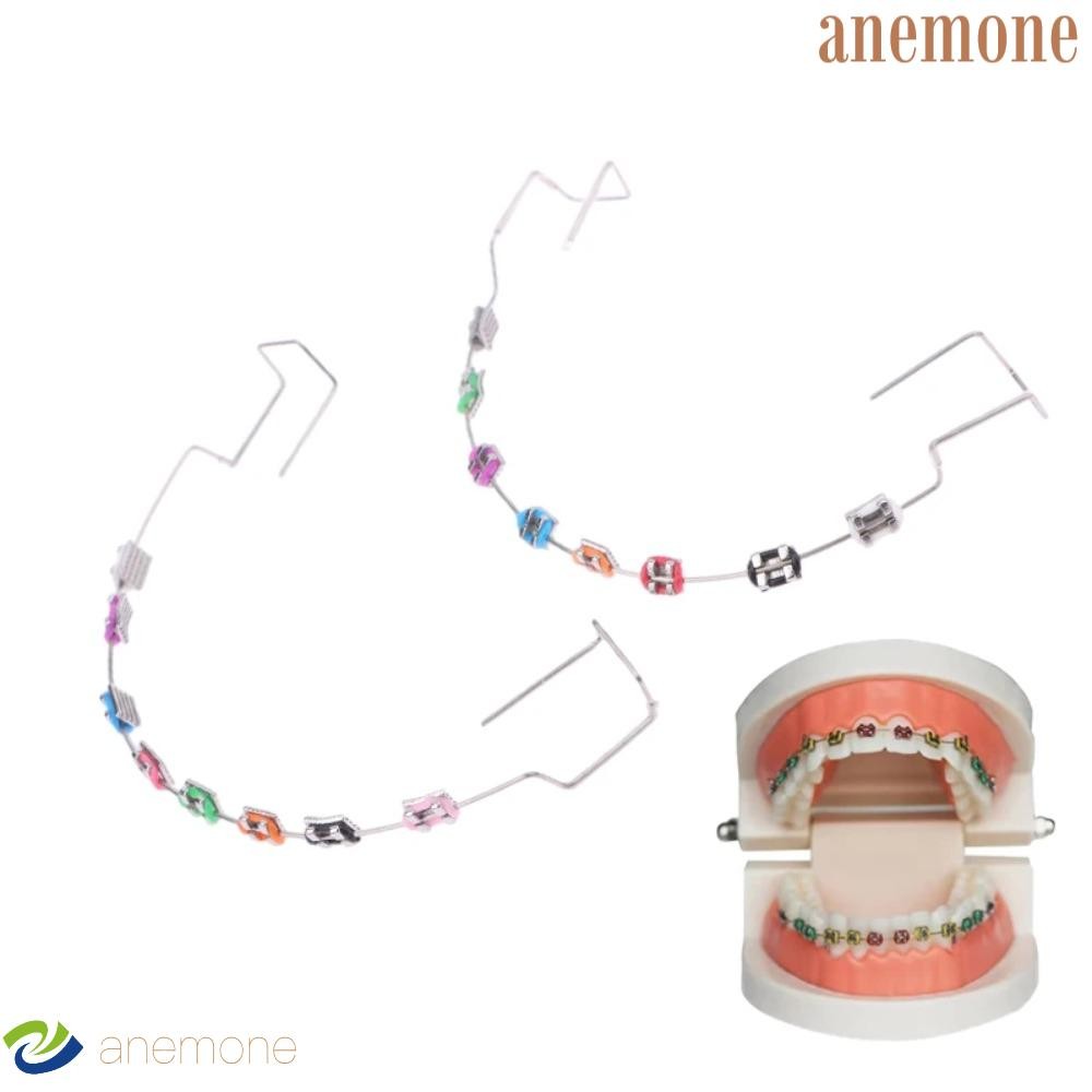ANEMONE 1 pair Temporary Tooth Decoration, with Metal Wires Dental ...