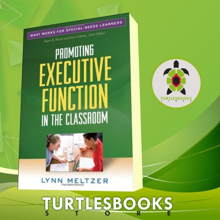 Promote Executive Function in the Classroom Lynn Meltzer | Shopee Malaysia
