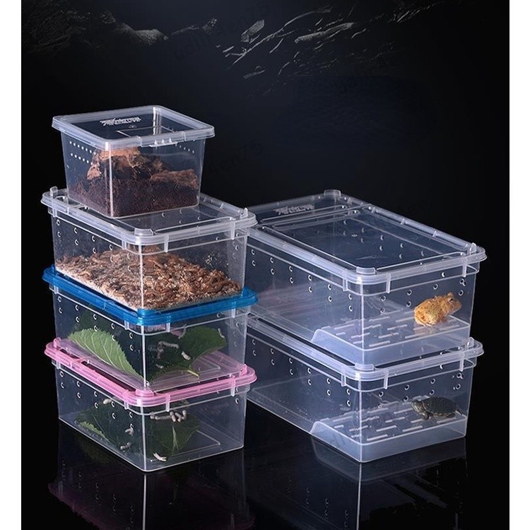 [HOT] Reptile breeding box transparent shelter box tarantula box ...