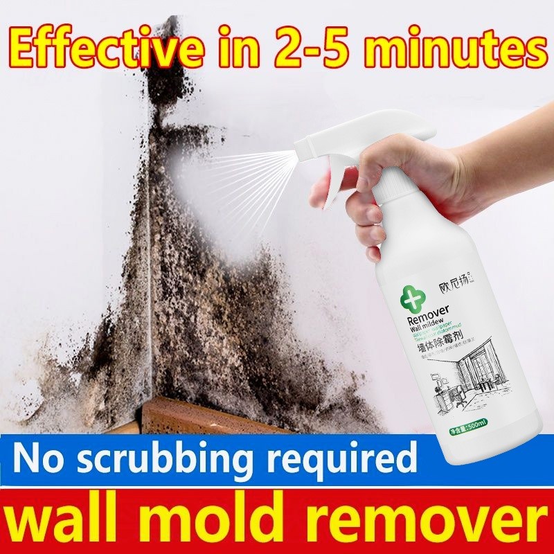 Wall Mold Remover Spray Mildew Removal anti mold spray fungus removal ...