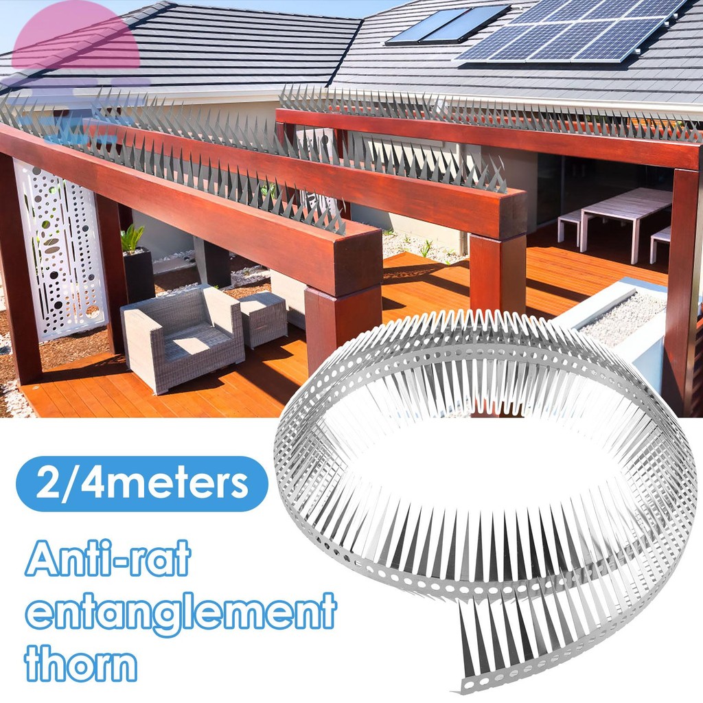 Bird Spikes 2m/4m Bird Defender Spikes Stainless Steel Bird Deterrent ...